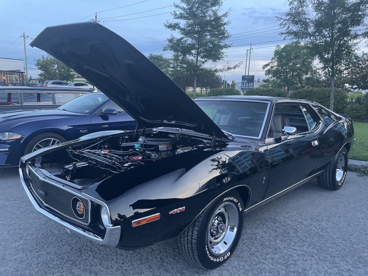 AMC Javelin Pierre Cardin